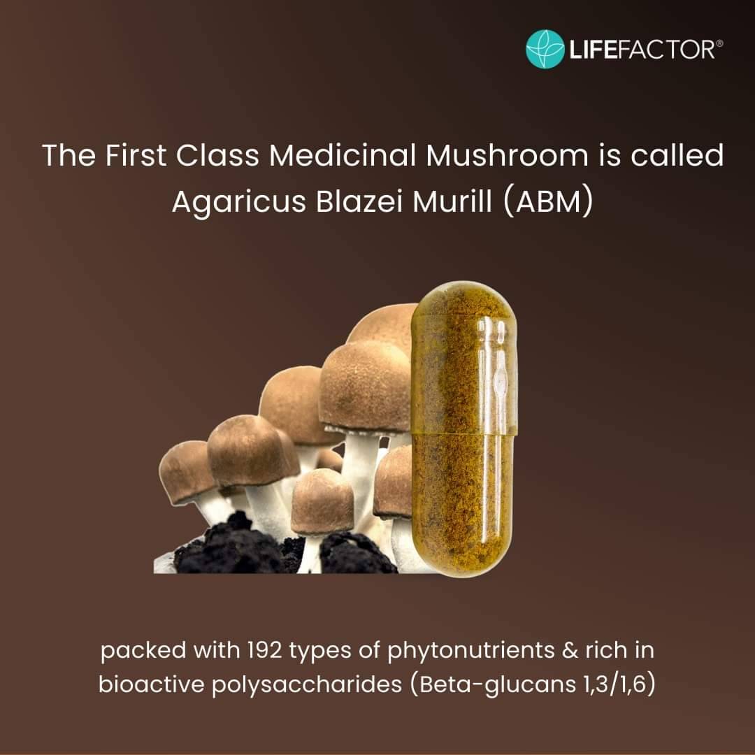 Life Factor Vitaceutica 60 Caps - Strengthen and modulates immune system